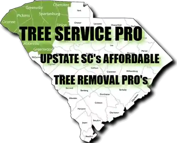 Greenville Tree Service Find Affordable Tree Removal Near Me